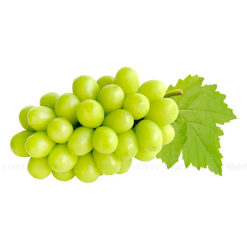 Nho mẫu đơn Shine Muscat nhập khẩu Hàn Quốc 450g