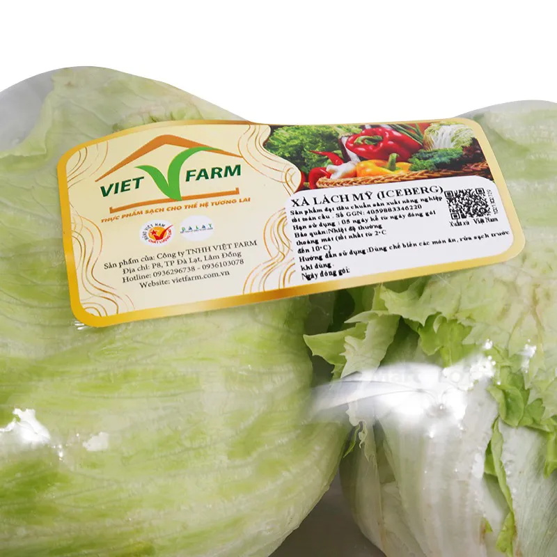 Xà lách Iceberg Đà Lạt 600g