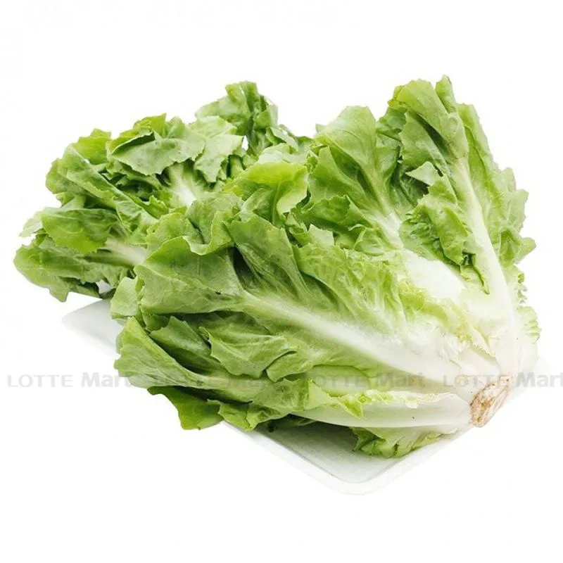 Xà lách Carol Đà Lạt 500g