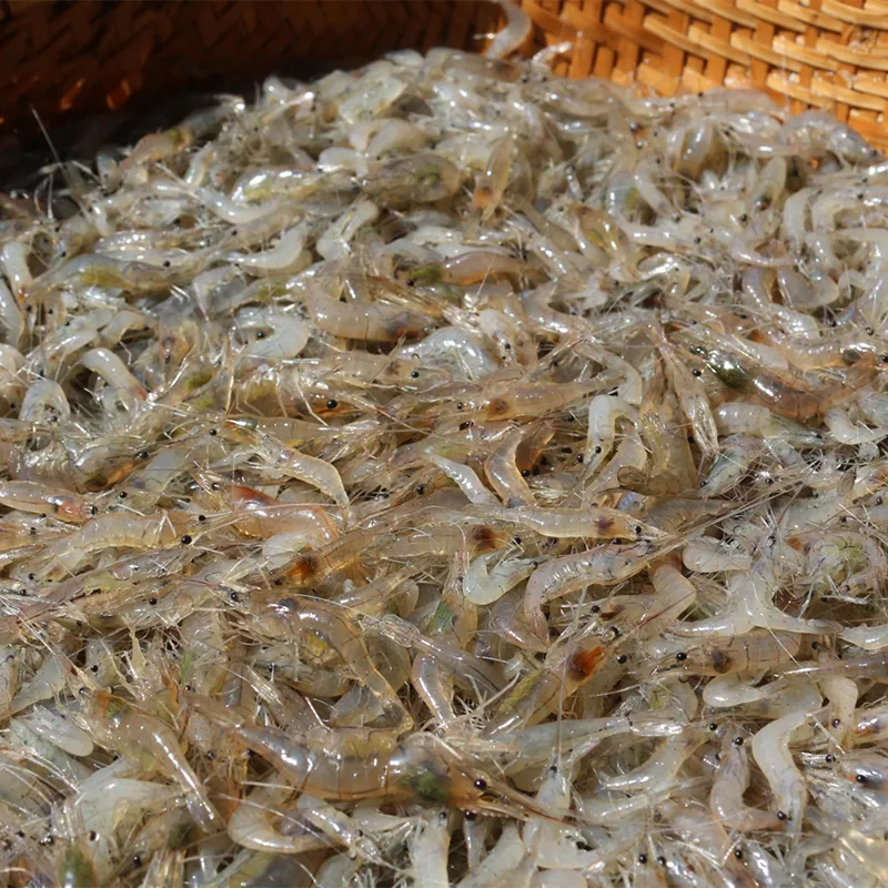 Tép đồng Nhất Tâm 250g (ea)